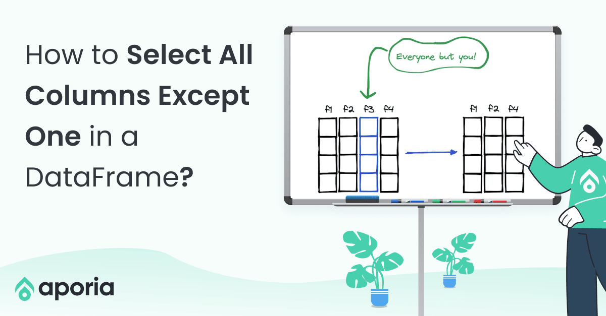 How To Select All Columns Except One In Dataframe Aporia